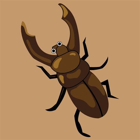 Agregar más de 63 dibujos escarabajo mejor camera edu vn