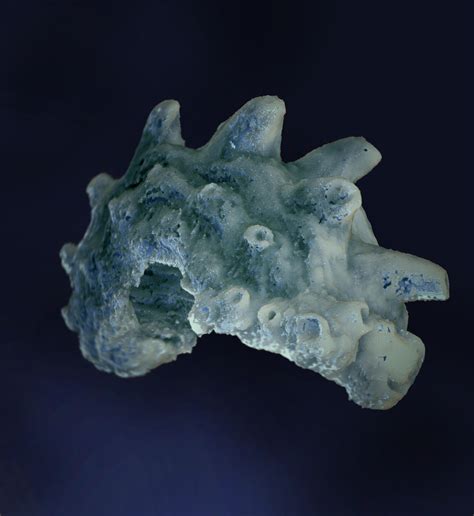 439 Million Year Old Fossil Teeth Overturn Long Held Views About Evolution