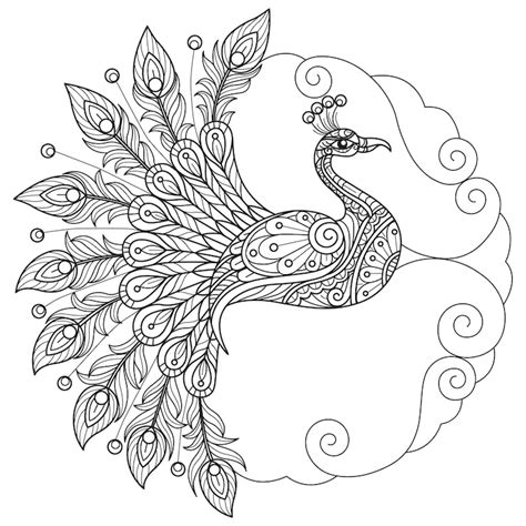 Premium Vector Peacock Hand Drawn For Adult Coloring Book