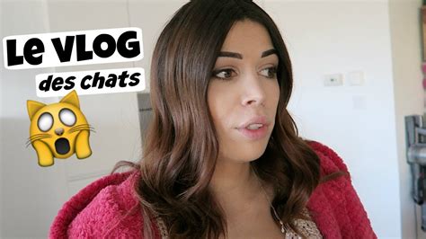 Le Vlog Des Chats Youtube