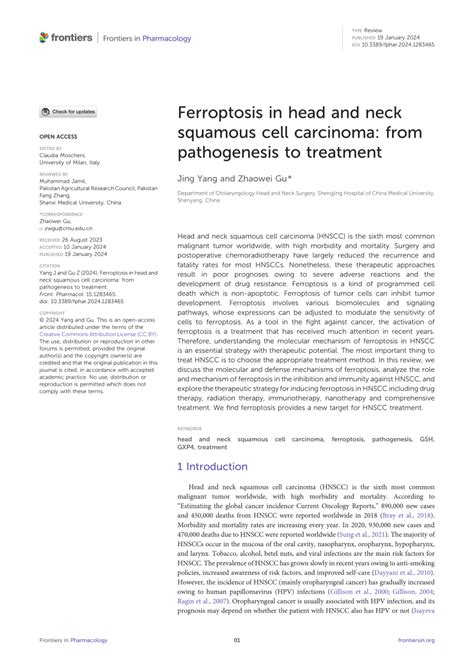 Pdf Ferroptosis In Head And Neck Squamous Cell Carcinoma From