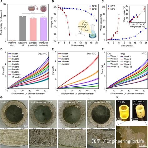 Science子刊：投影光固化3d打印可降解气管支架 知乎