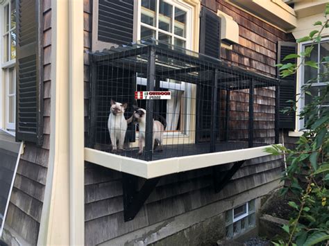 Window Catio Diy Project