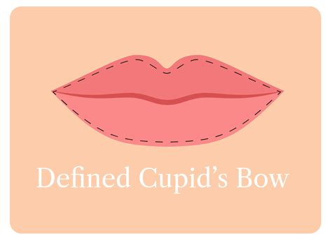 Lip Shapes Identify And Enhance Your Lip Type Spamedica