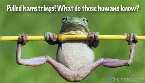 Sore Hamstring Memes Funny Leg Day Memes