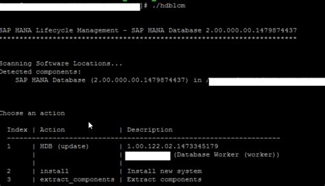 Sap Hana Upgrade Basis Guru