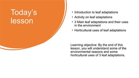 Leaf Adaptations Environmental Interactions And Horticultural