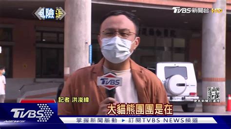 「團團生病」四川知情 園方：不排除陸專家來台 Tvbs 新聞影音 Line Today