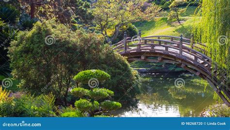 Wooden Curved Structure Building With Modern Architectural Design Royalty Free Stock