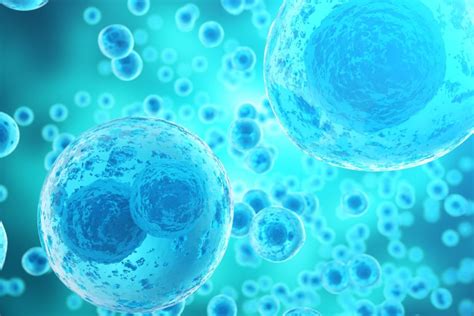 Cellular Memory Gateway Dr T Harker