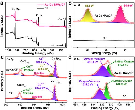 A Surface Survey Xps Spectra Of Au Cu Nws Cf And Cf Samples
