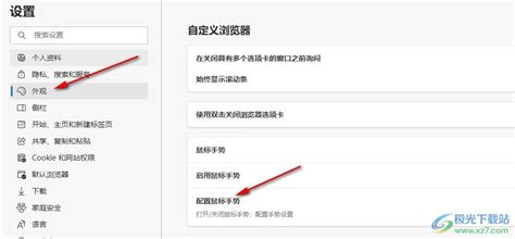 Edge浏览器怎么自定义鼠标手势？ Edge浏览器自定义鼠标手势的方法 极光下载站