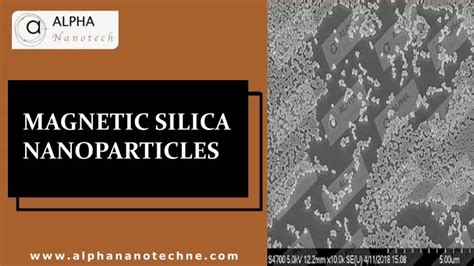 Ppt Magnetic Silica Nanoparticles Powerpoint Presentation Free Download Id 11535641