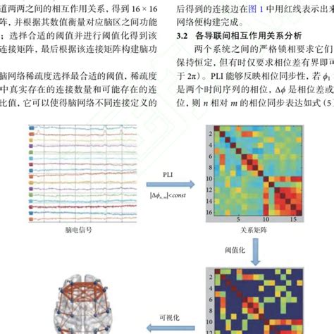 Flow Chart Of Functional Brain Network Construction Download