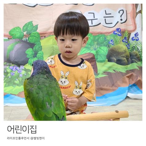 가정 어린이집 퇴소 민간어린이집 1세반 준비 어린이집상담질문 포인트 네이버 블로그