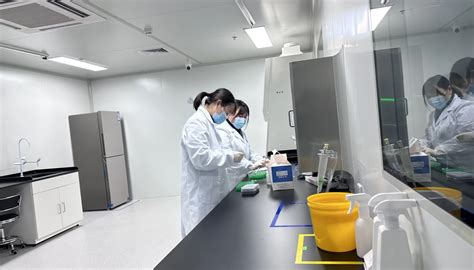Healthybiotech Real Time Pcr Gene Mutation Detection Kit Jak2 V617f
