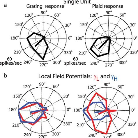Example Single Unit And Local Field Potential Responses From A Single