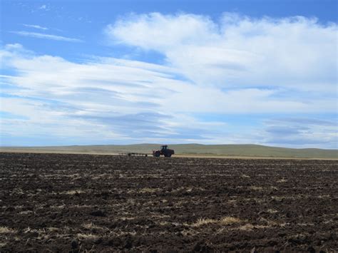 Аграрии и фермеры подняли 4 8 тысяч га залежных земель в Забайкалье Chitamedia Su