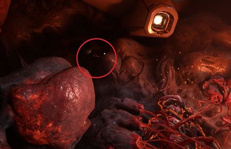 Helminth Lotus Flower Spawned Inside A Wall General Warframe Forums