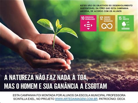 Plantio De árvores E Reciclagem Viram Campanhas De Consumo Consciente