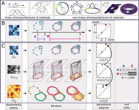 논문 리뷰 Tracking The Topology Of Neural Manifolds Across Populations