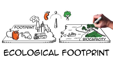 Ecological Footprint And Apocalypse Heshan Jayawardane
