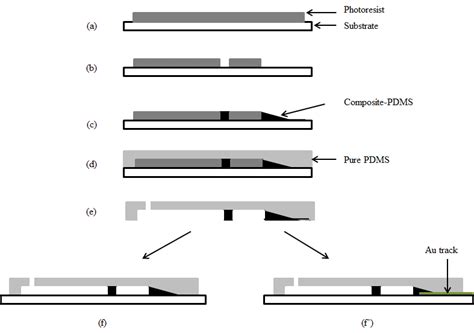 Schematic Representation Of The Fabrication Process Developed To Download Scientific Diagram