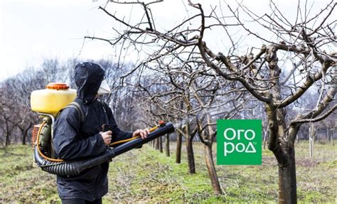 Три весенних опрыскивания сада: сроки и средства | В саду (Огород.ru)