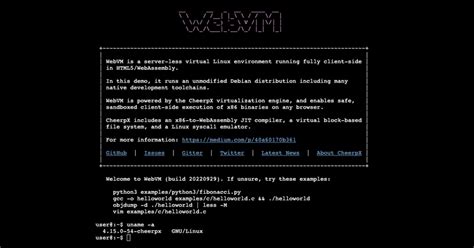 Webvm Webassembly Virtualisation Leaning Technologies