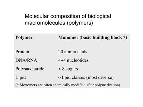 Ppt Polymer Monomer Basic Building Block Protein 20 Amino Acids