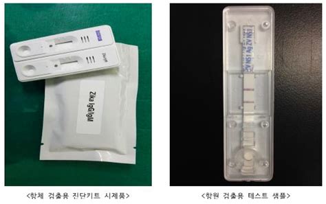 지카바이러스 피 한방울로 20분 내 감염 진단 Zdnet Korea