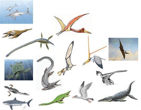 Cretaceous Sea And Sky Quiz
