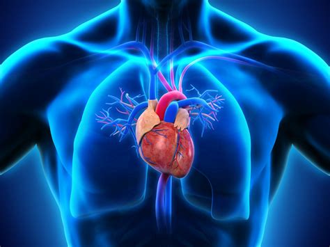 Gileads Letairis With Tadalafil Approved By Fda For Pulmonary Arterial