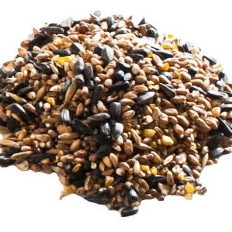 Camel Feed Camel Farm Feed Manufacturer From Jamnagar