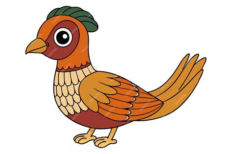Premium Vector Cute Ring Necked Pheasant Vector Illustration On White