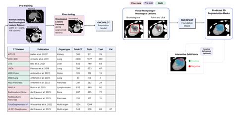 Raidium Publishes Promptable Ct Foundation Model For Tumor Segmentation