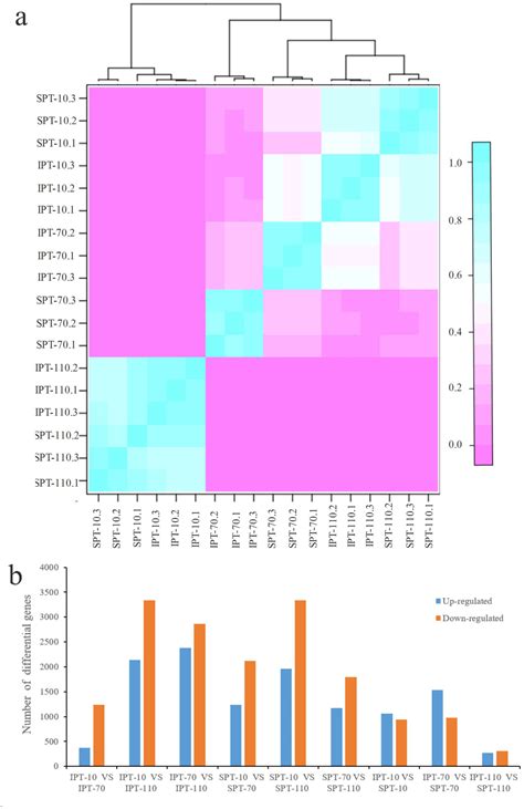 Full Length Transcriptome Revealed The Accumulation Of Polyunsaturated
