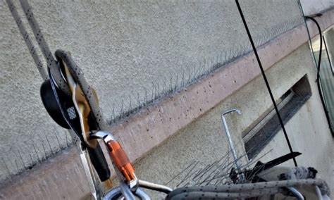 Шипы от птиц установка и цена ЭкоМир дезинфекция