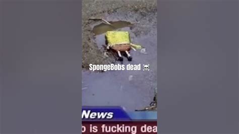 Spongebob Died Youtube