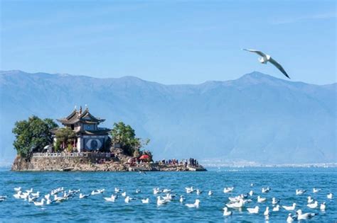 計劃去雲南玩5 8天，求去過的小哥哥小姐姐們分享下，去雲南旅遊費用，必去景點和適合打卡的行程線路安排！
