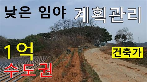 1억 계획관리 낮은 임야 남향 건축가 자연인 전원생활 약용재배 공시가2억8천 시세9억~20억 투자수익 산분장 땅과함께새희망을경매임야 공매임야 나도땅주인 Youtube