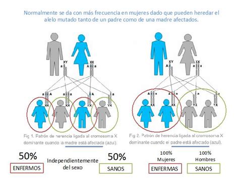 Patrones De Herencia Generación Tras Generación