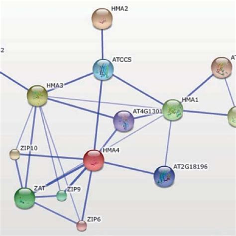Protein Protein Interaction Prediction Where The Interaction Of Other