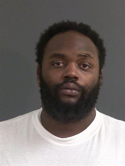 Delaney Quinton Darnel 01 31 2024 Charleston County Mugshots Zone