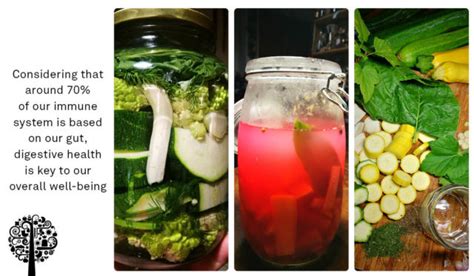 Lactic Acid Fermentation A Tasty Science Experiment Gcm