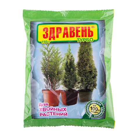 Здравень хвойные растения 150 гр.(50шт.)