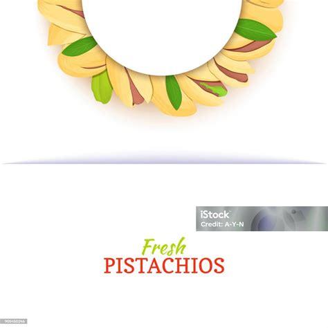 반원 흰색 프레임 피스타치오 너트의 구성 벡터 카드 그림입니다 견과류 프레임 양 껍질 셸에서 포장 디자인 식품 버터 피스타치오 기름 화장품 크림을 위한 잎 디자인에 대한