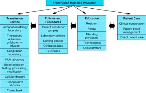 Role Of The Transfusion Service Physician Clinical Tree