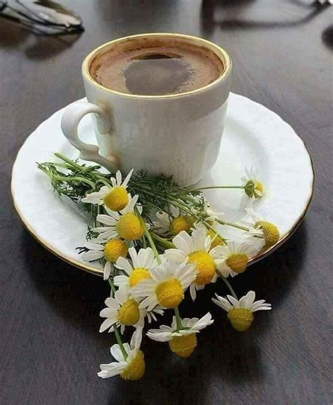 Pin by Gülşen Pazaroğlu on Kahve Çay Keyfi | Chocolate tea, Coffee ...