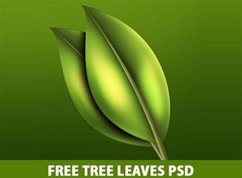 Photoshop Trees Psd